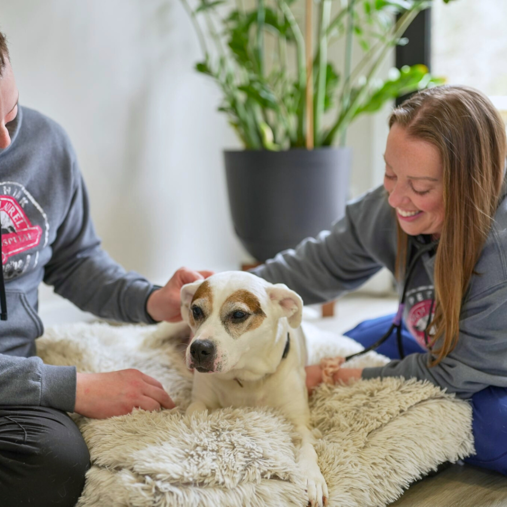Primary Care - Mount Laurel Animal Hospital